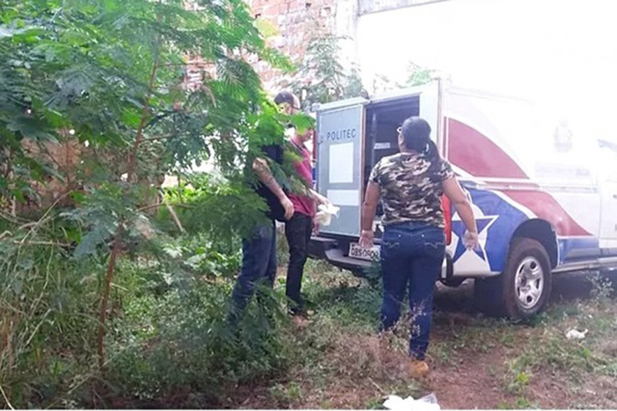 Midianews Mulher De 30 Anos é Assassinada E Tem Corpo Jogado No Mato